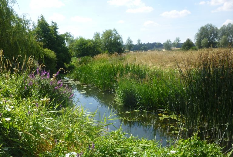 Four Seasons on the Stour: Higham and Boxted Mill - Sally Pudney