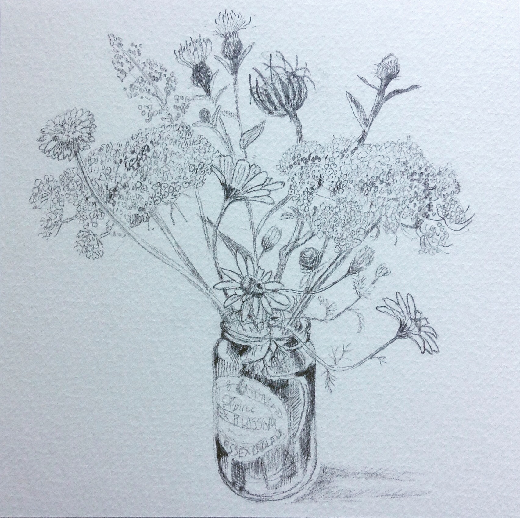 Flowers of the June Field - Sally Pudney