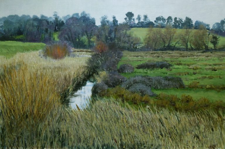 Landlines 4: Marsh Ditch - Sally Pudney